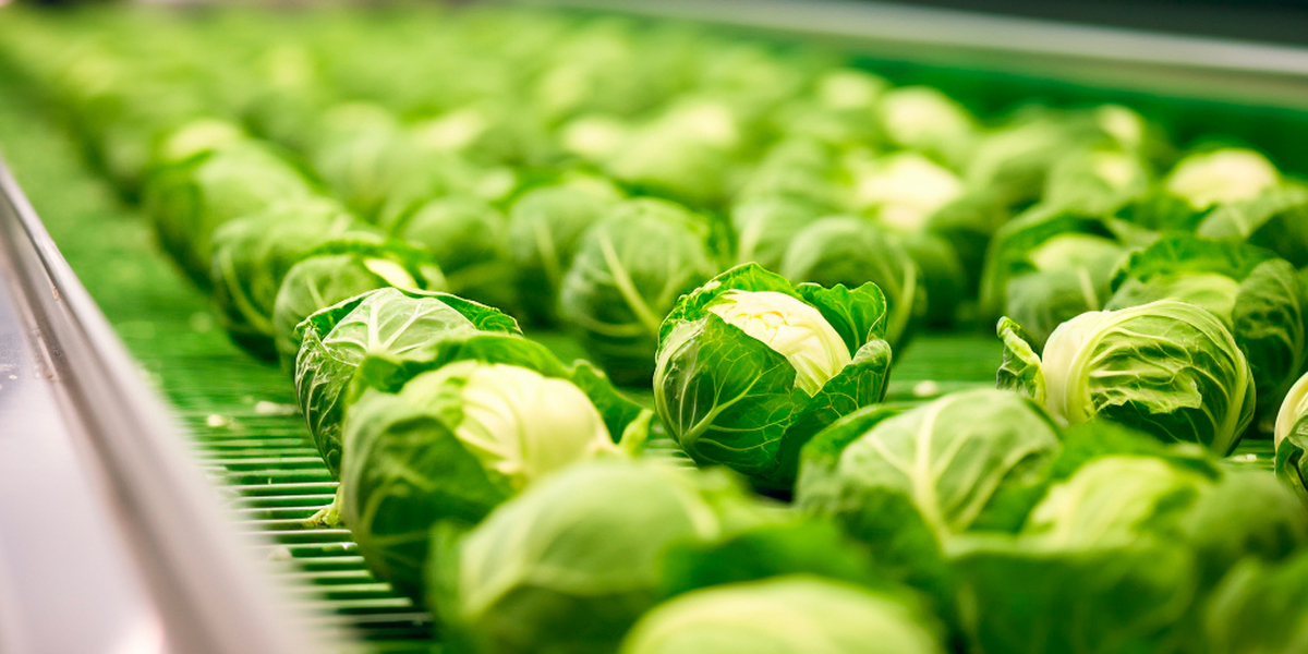 Food recruitment | Yor-in